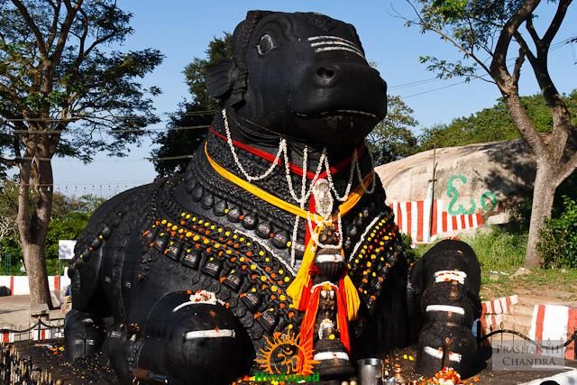 Nandi Kalyanam | Divine Marriage of Nandikeshwara, Suyasha | HinduPad
