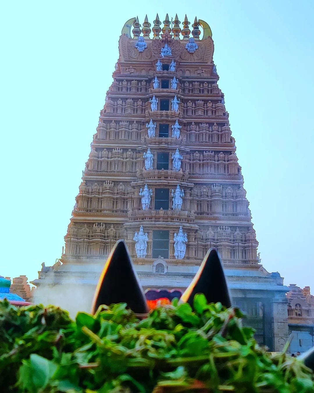 Lets Cheerfully Visit Temples | HinduPad