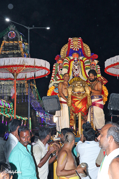 Simha Vahanam Seva in Vontimitta Brahmotsavams | HinduPad