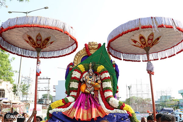 Kodandarama Swamy in Vatapatrasai Alankaram : 3rd day Vontimitta ...
